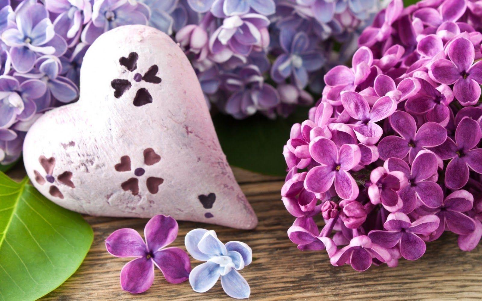 Lilas Wallpapers - Wallpaper Cave