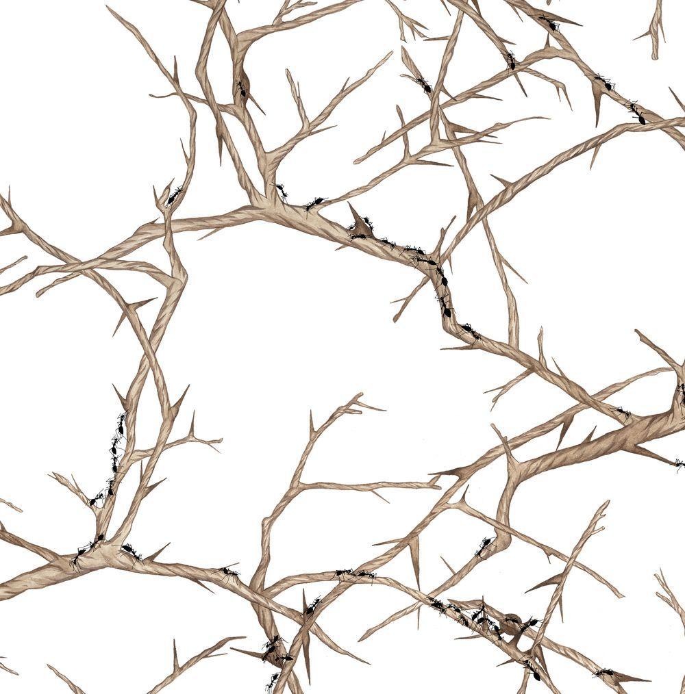 Thorn Wallpapers - Wallpaper Cave