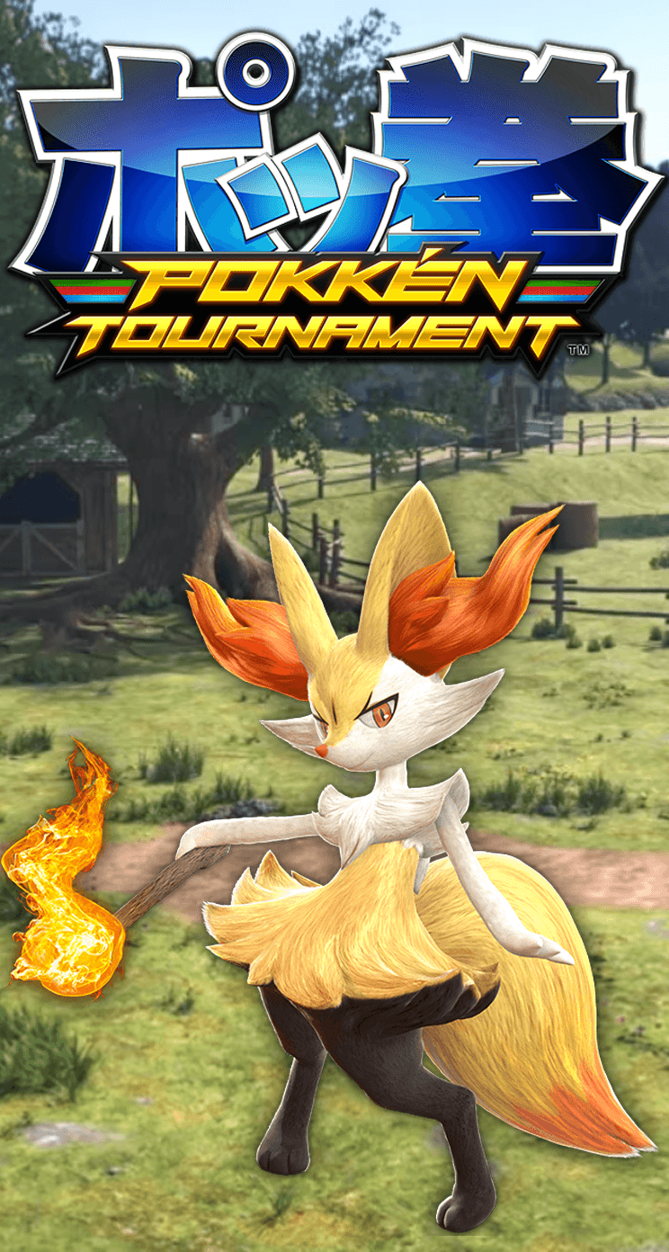 Braixen Wallpapers - Wallpaper Cave