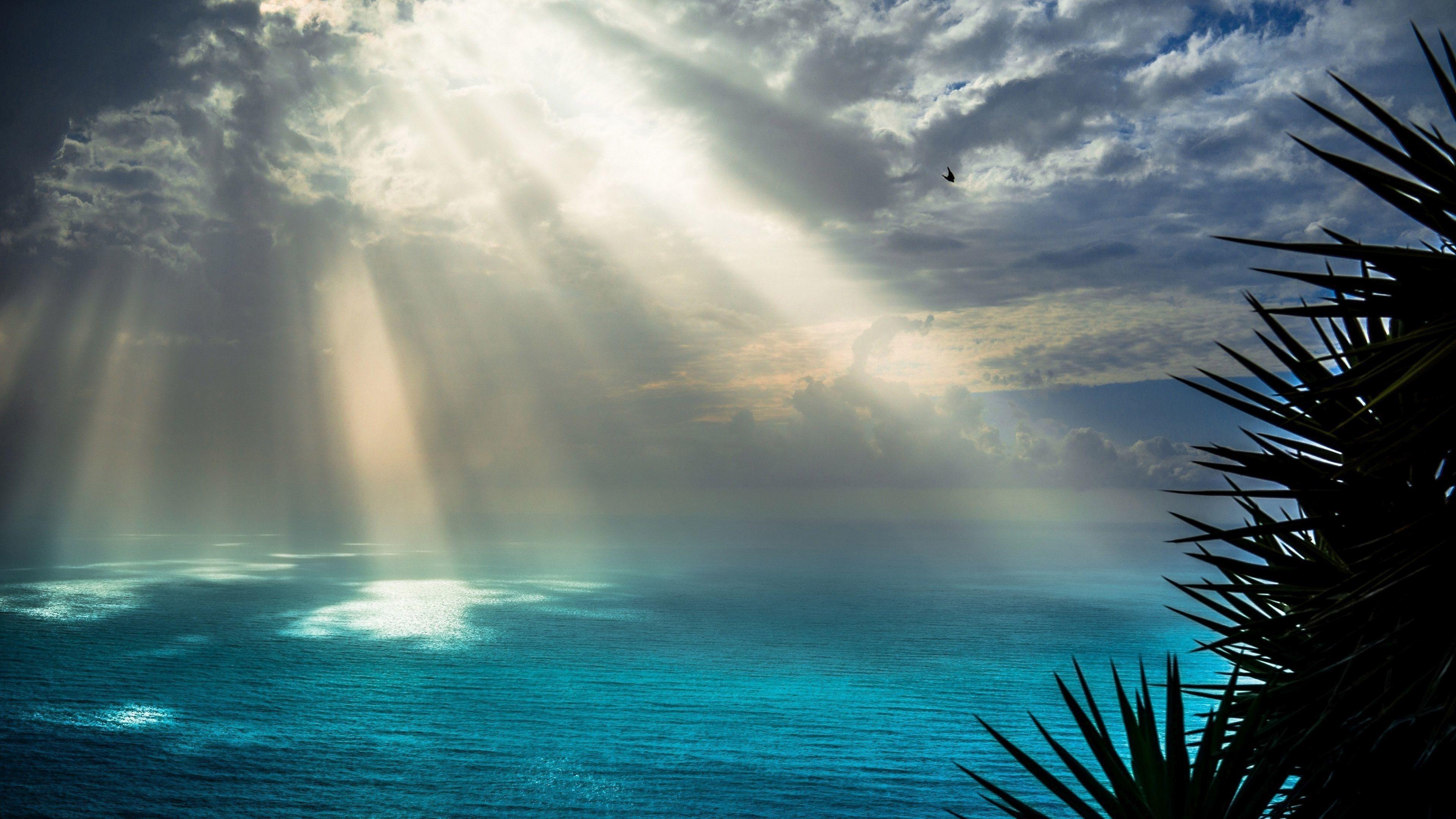 Sun Rays Sun Rays Deutsch Filmisfine Sun Rays Sun Rays Deutsch Filmisfine