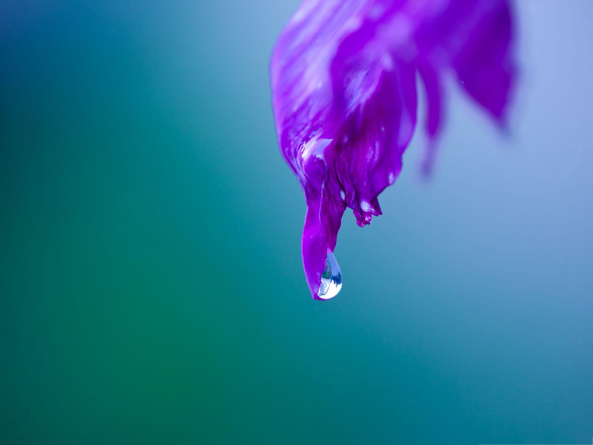 Water Drop Focus Wallpapers - Wallpaper Cave