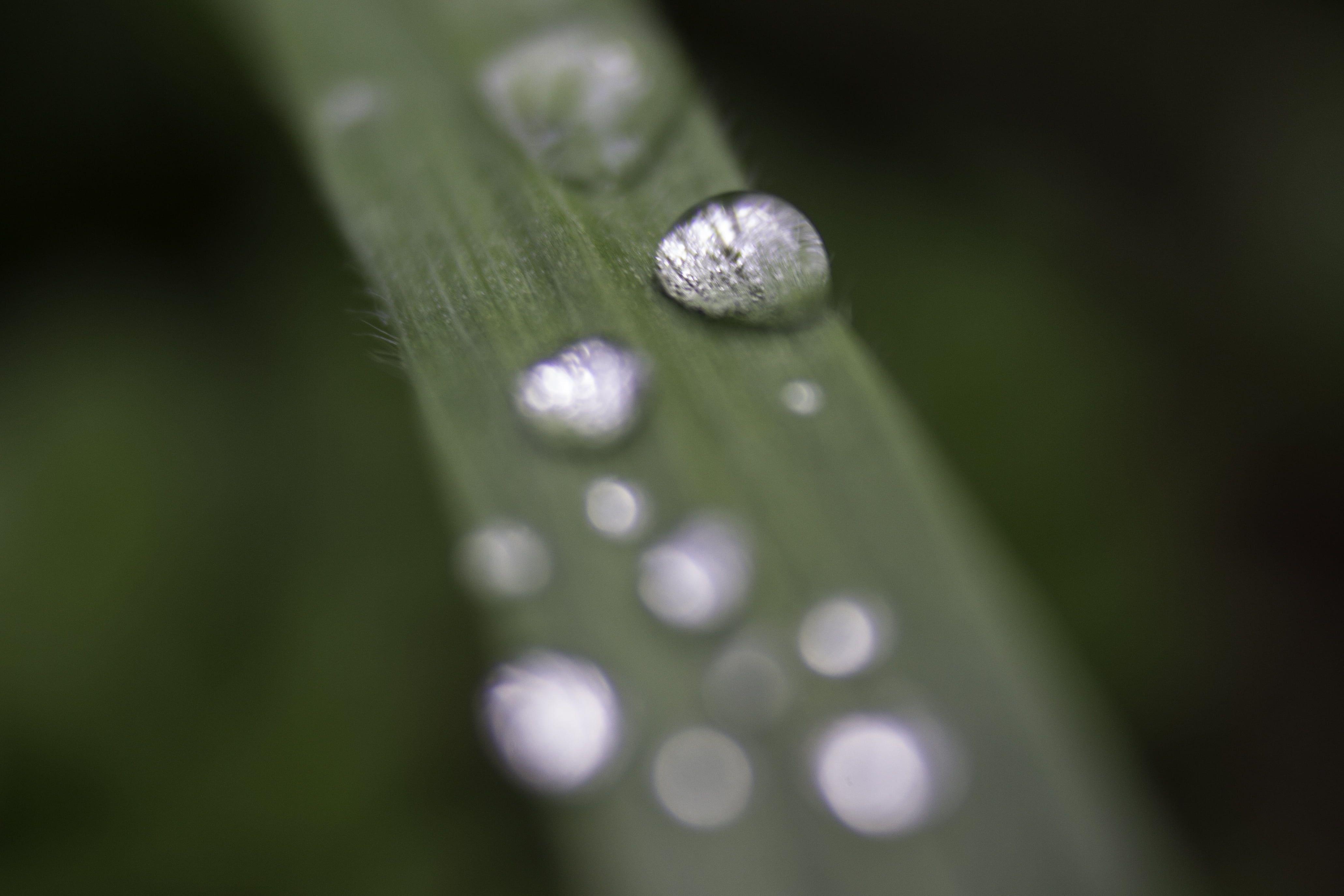Water Drop Focus Wallpapers - Wallpaper Cave