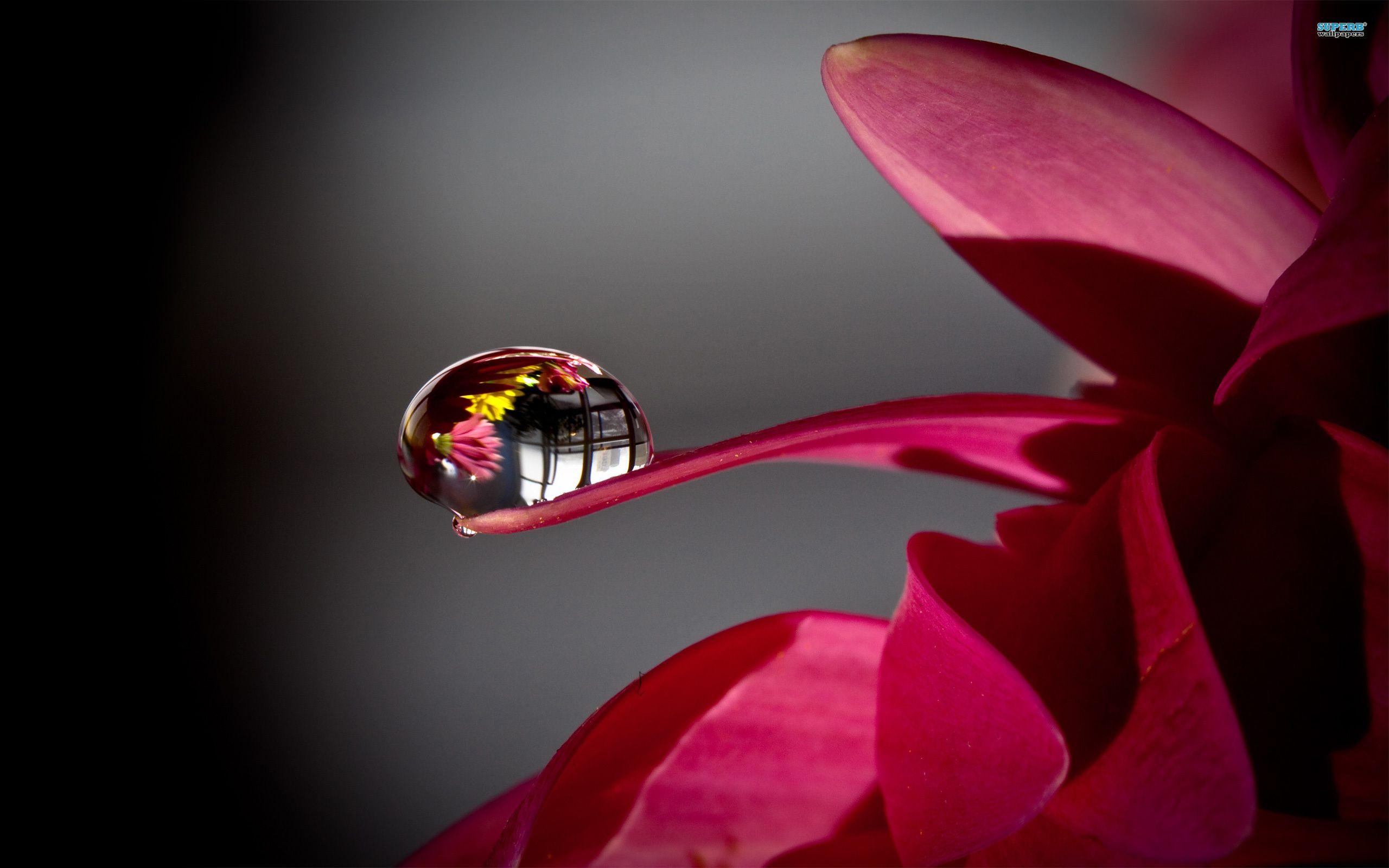 Water Drop Focus Wallpapers - Wallpaper Cave