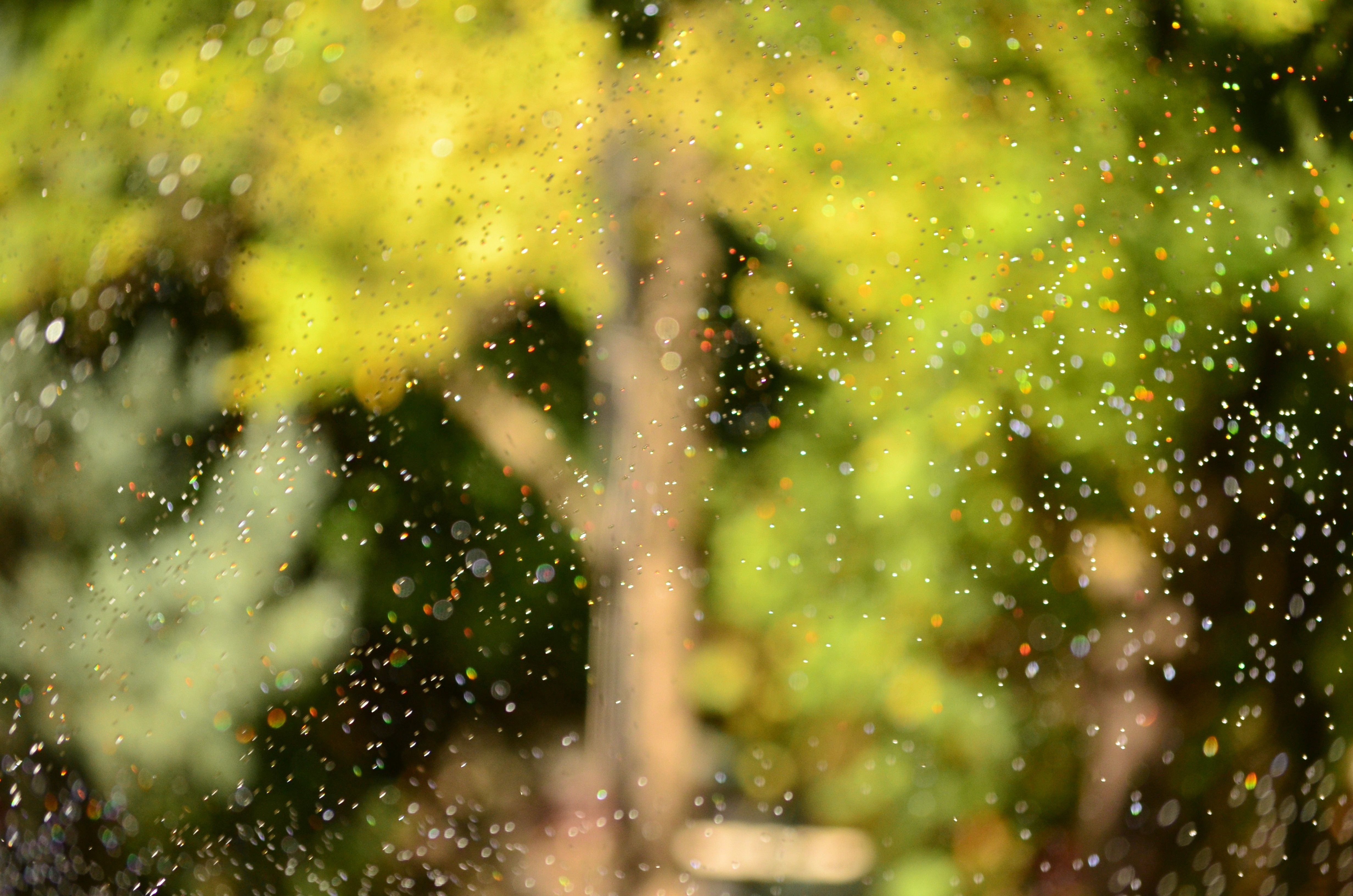 Water Drop Focus Wallpapers - Wallpaper Cave