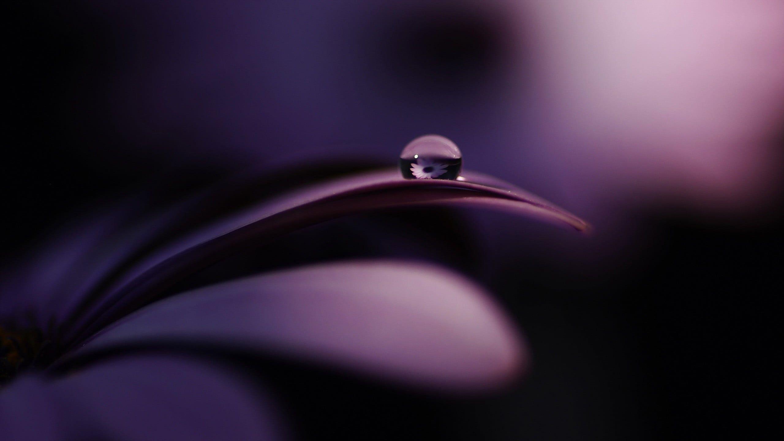 Water Drop Focus Wallpapers - Wallpaper Cave