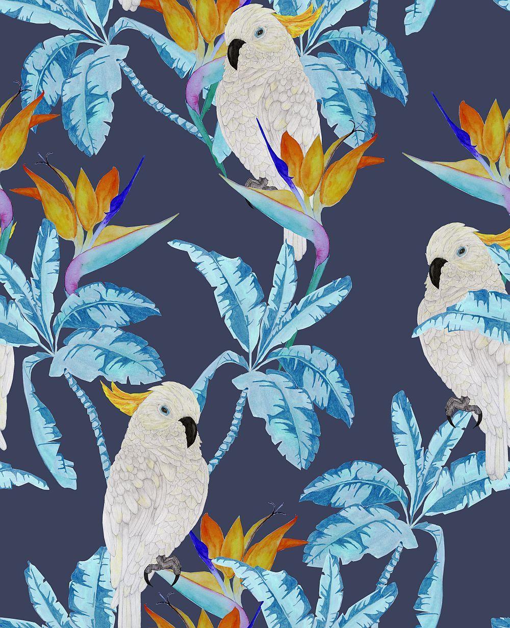 Cockatoo Wallpapers - Wallpaper Cave