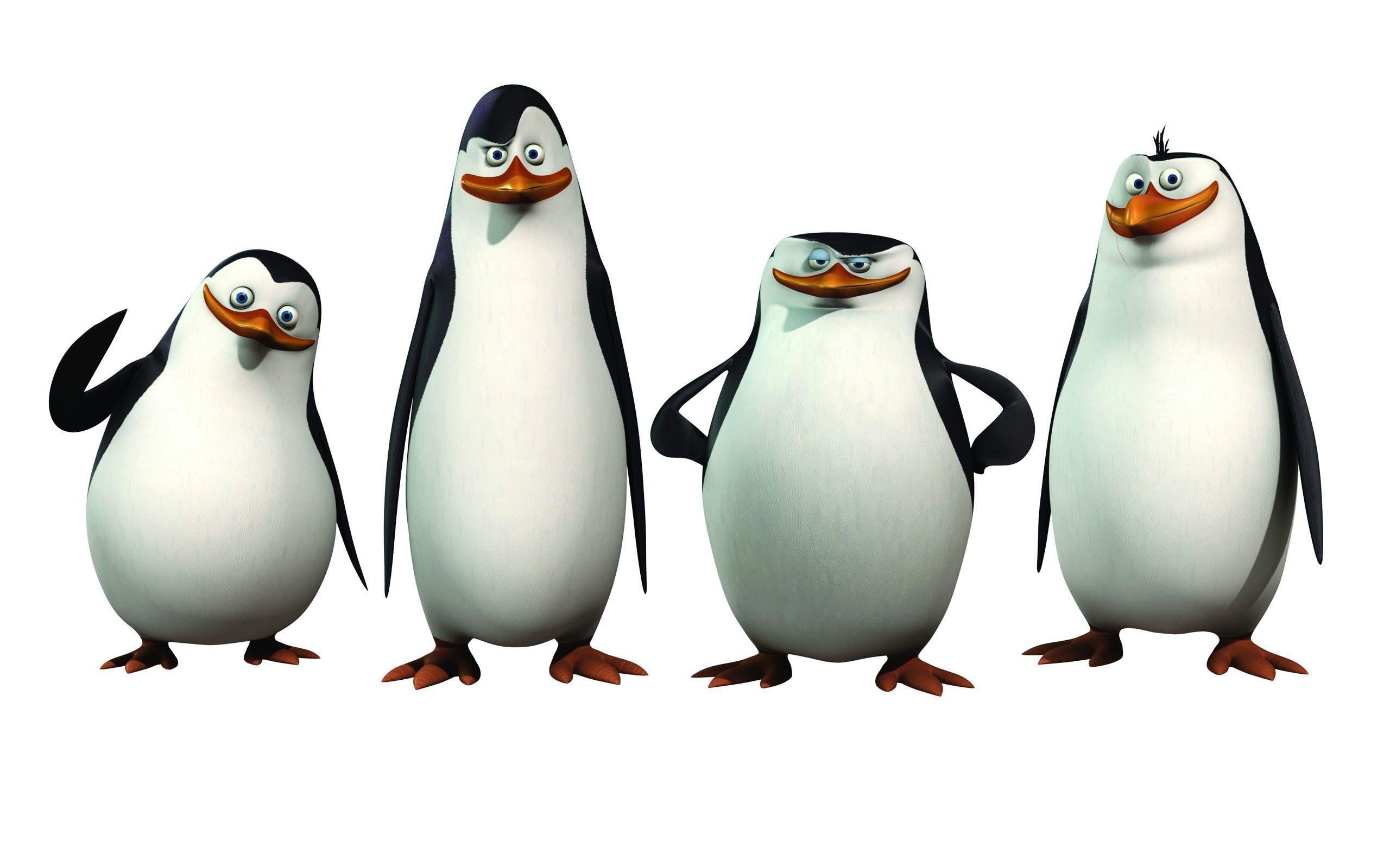 Animated Penguin Wallpapers - Wallpaper Cave