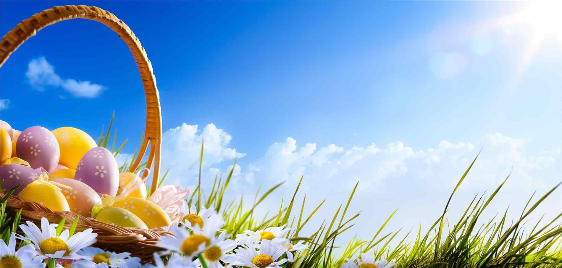 Easter Egg Hunt 2018 Wallpapers - Wallpaper Cave