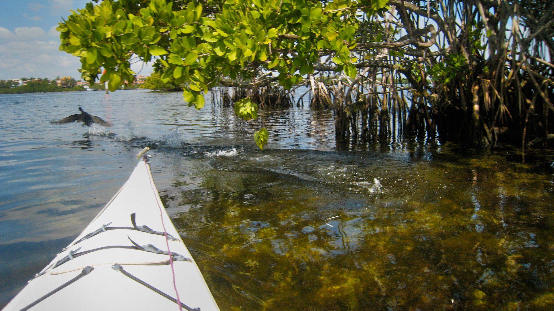 Biscayne National Park Wallpapers - Wallpaper Cave