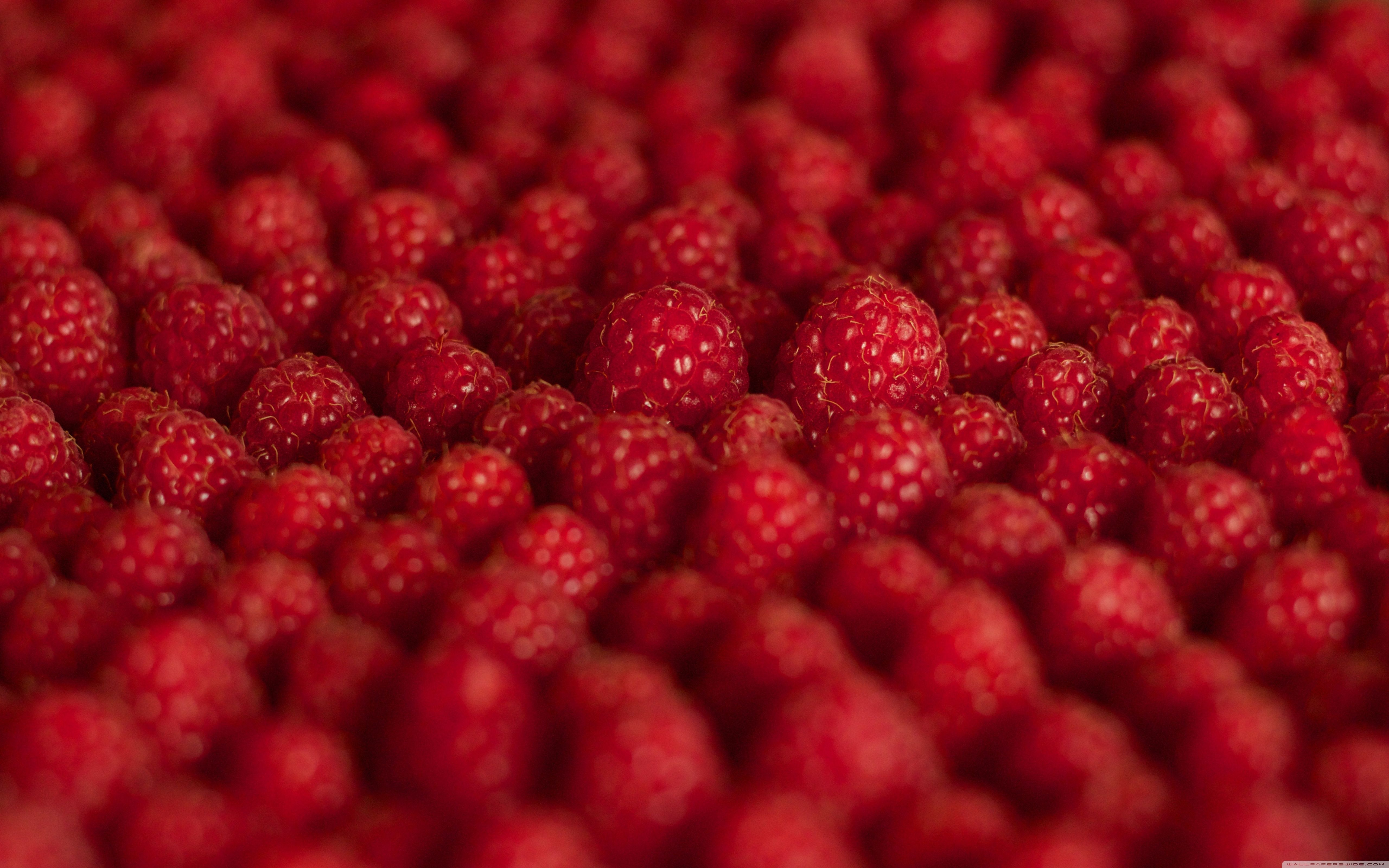 Raspberries Wallpapers - Wallpaper Cave