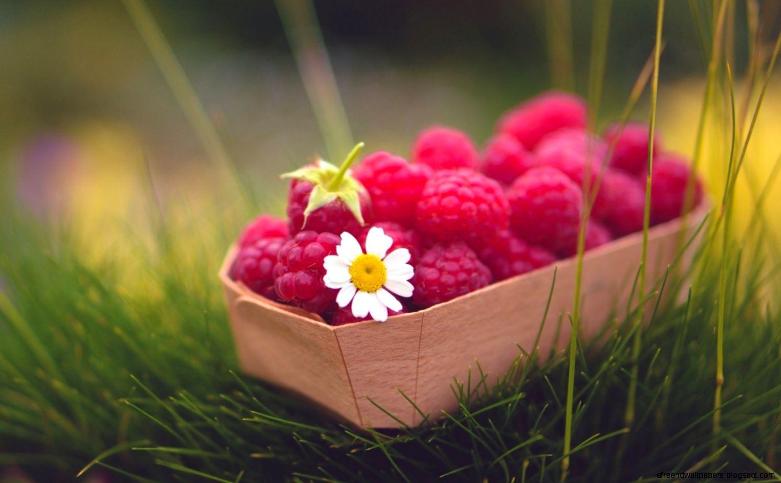 Raspberries Wallpapers - Wallpaper Cave