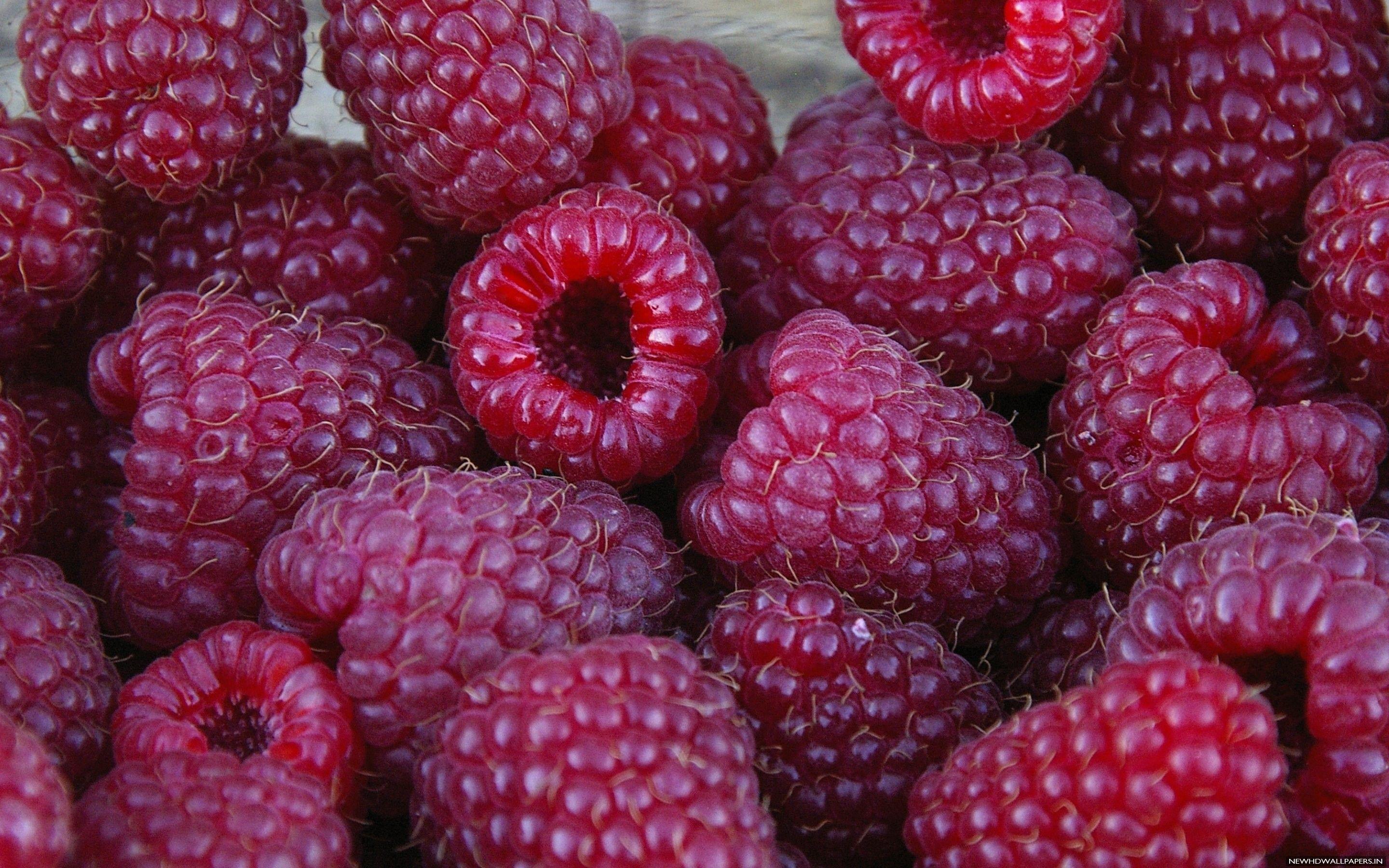 Raspberries Wallpapers - Wallpaper Cave