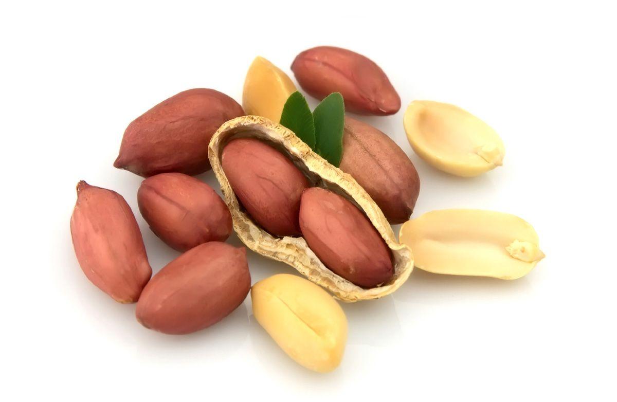 Groundnut Wallpapers - Wallpaper Cave