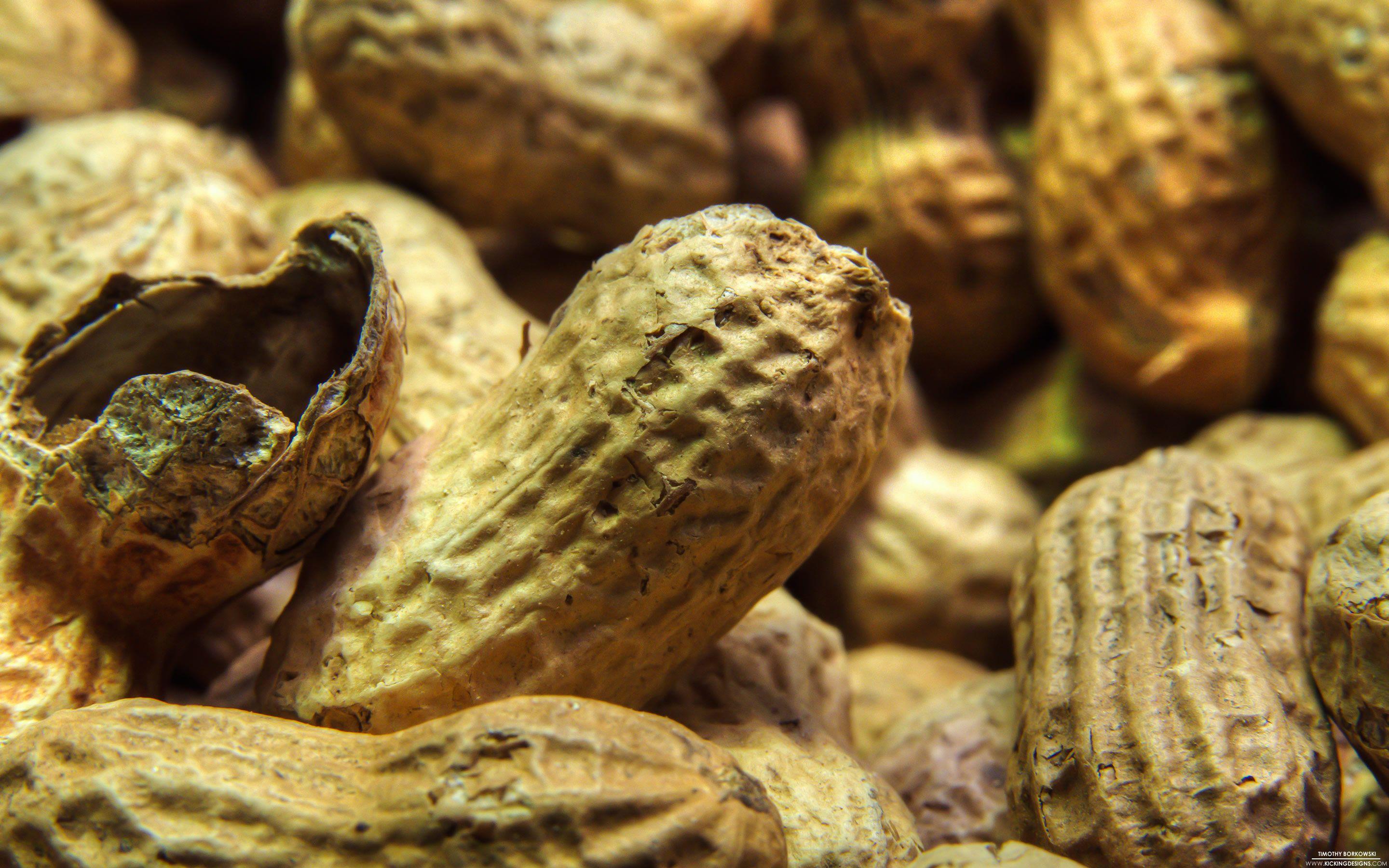 Groundnut Wallpapers - Wallpaper Cave