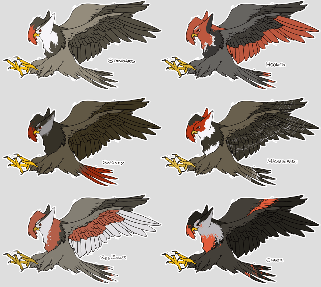 Staraptor Wallpapers - Wallpaper Cave