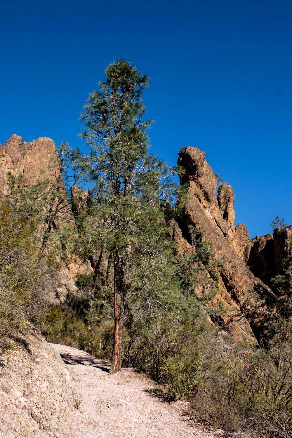 Pinnacles National Park Wallpapers - Wallpaper Cave