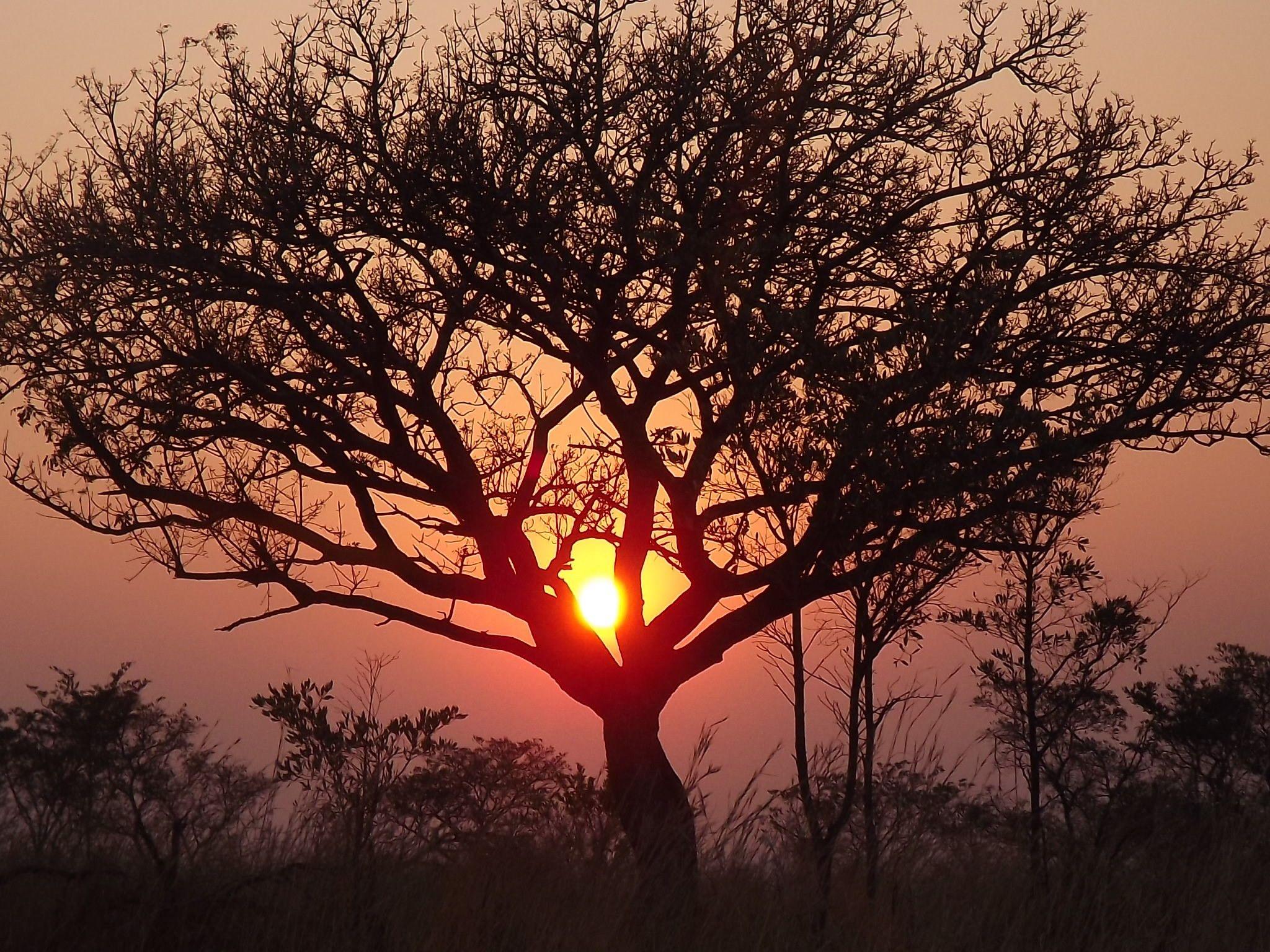Kruger National Park Wallpapers - Wallpaper Cave
