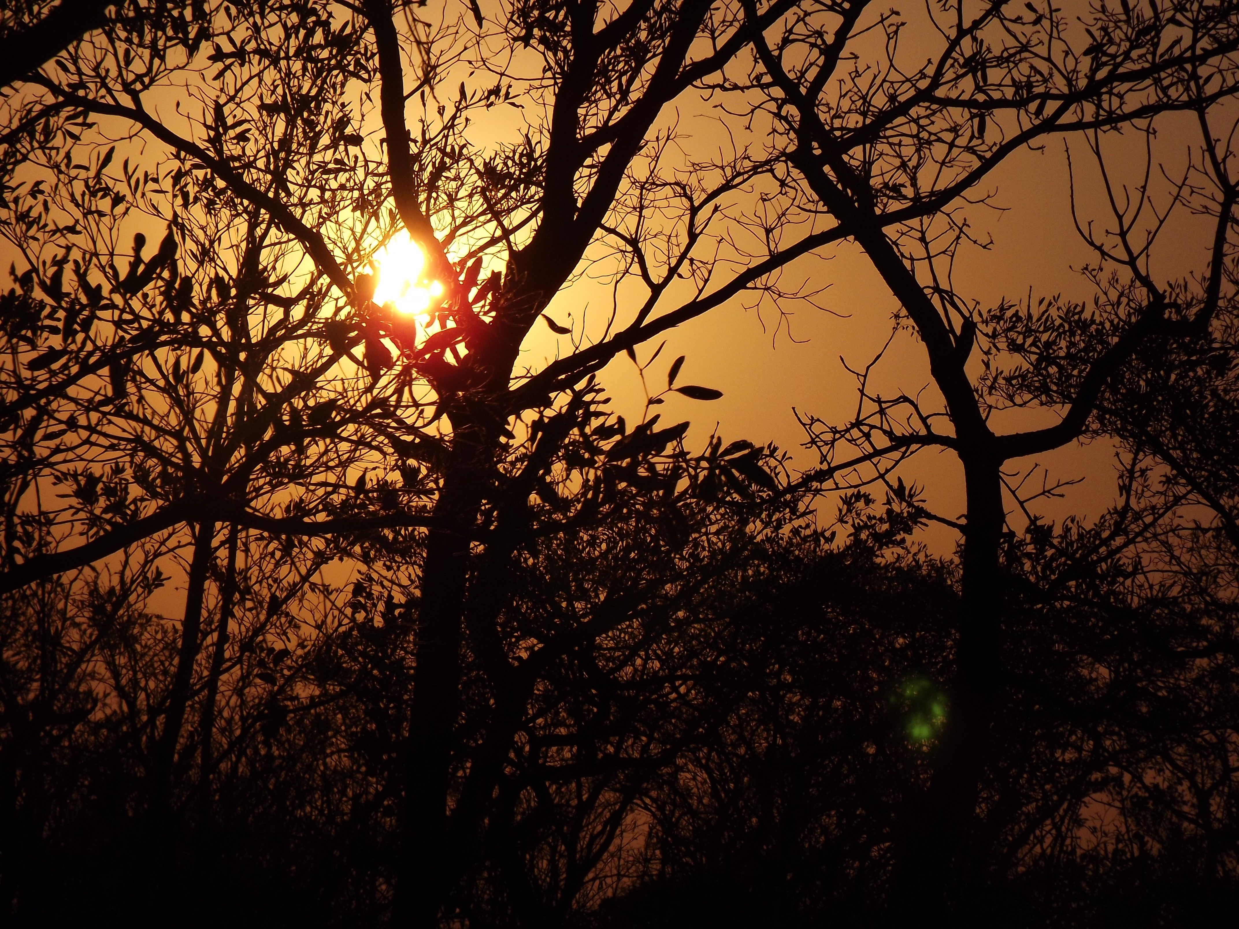 Kruger National Park Wallpapers - Wallpaper Cave