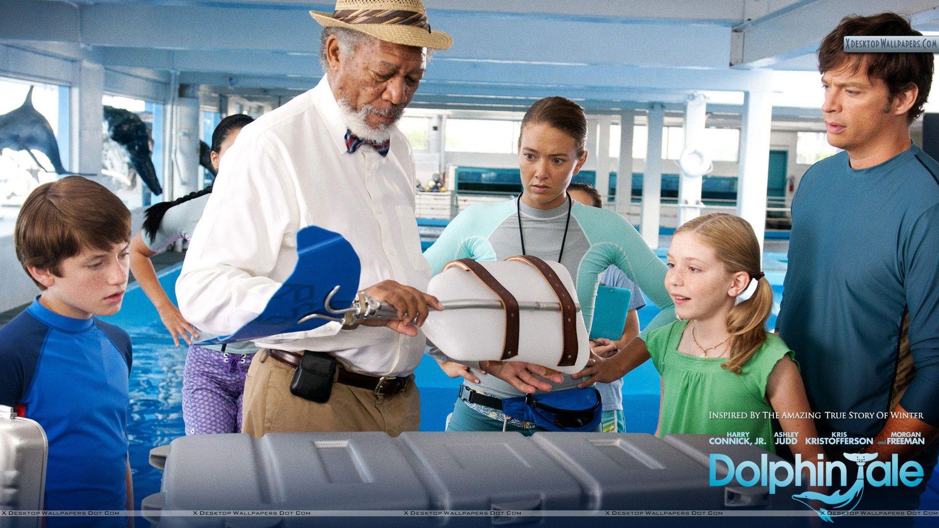 Dolphin Tale Movie Desktop Wallpapers - Wallpaper Cave