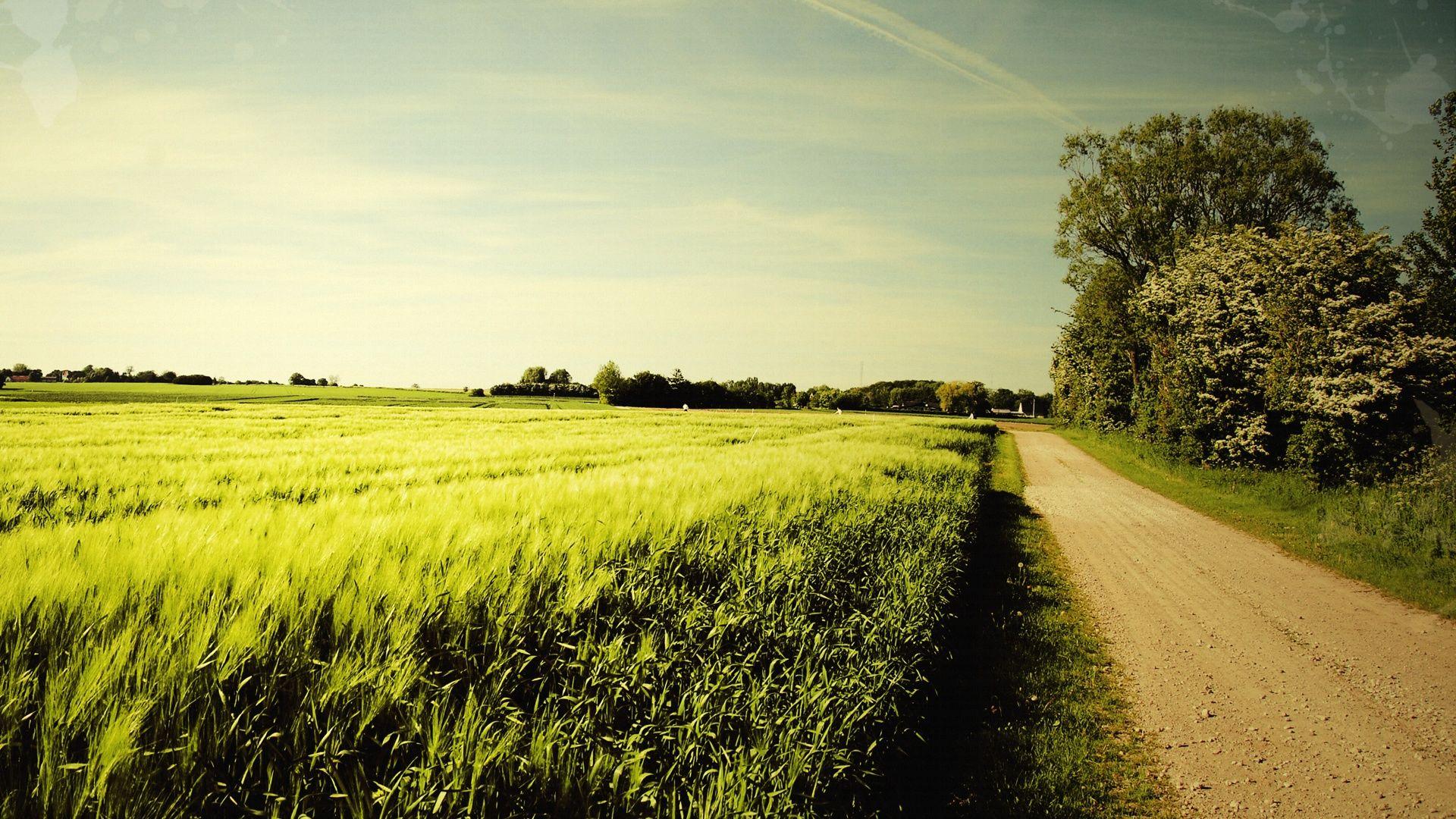 Nice Wallpapers - Wallpaper Cave