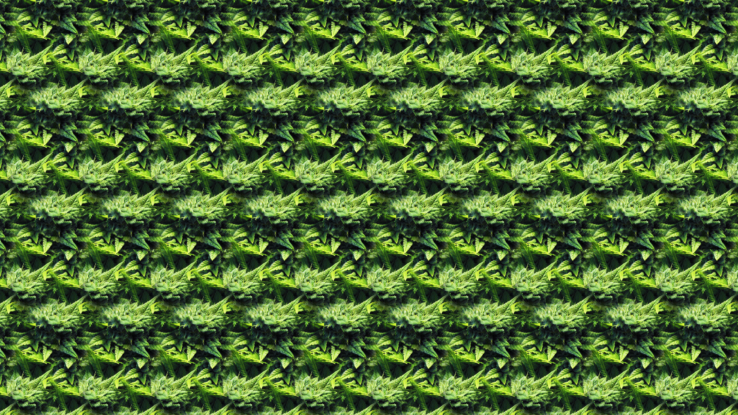 Kush Backgrounds - Wallpaper Cave