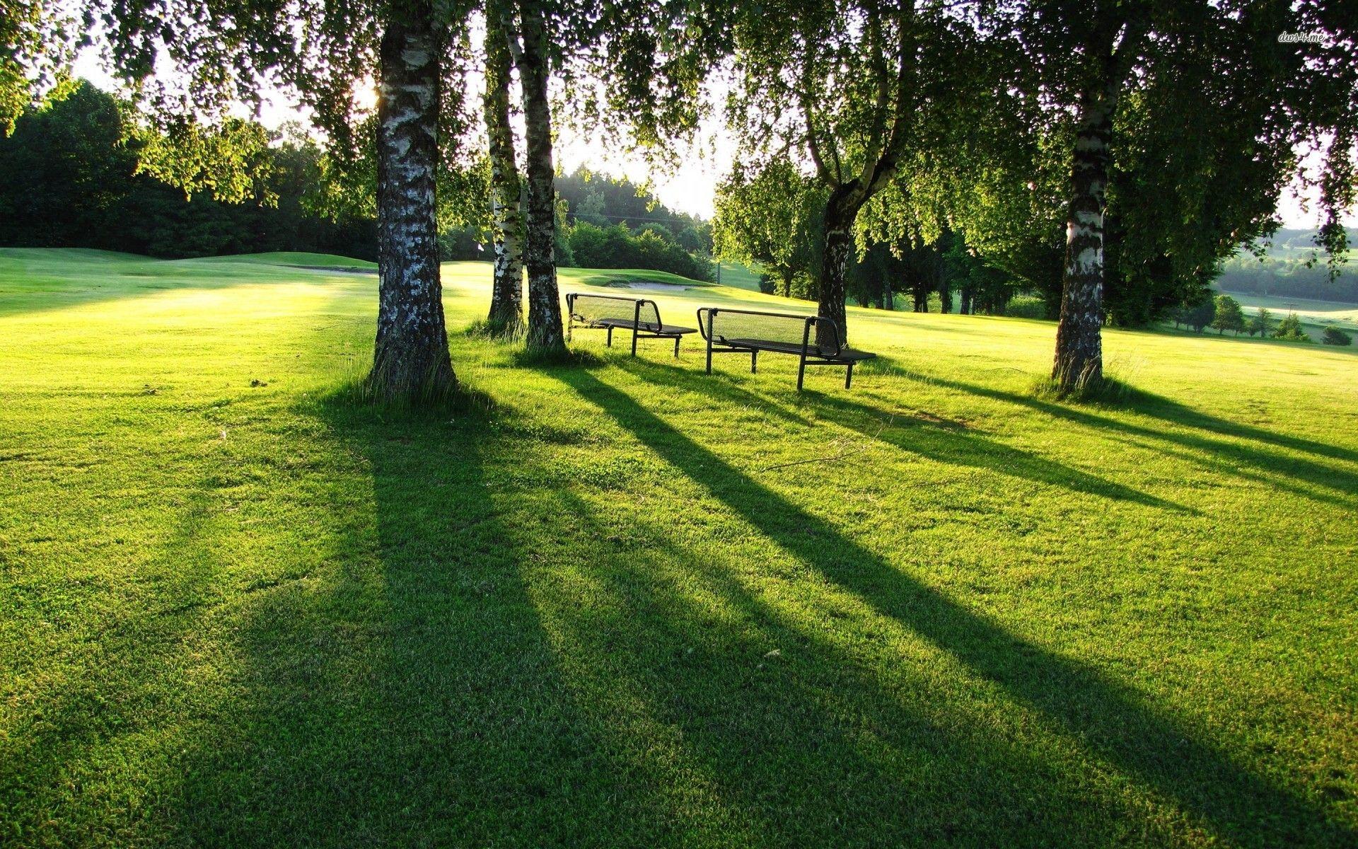 Morning Wallpapers - Wallpaper Cave