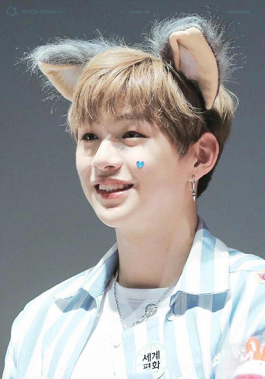 Kang Daniel Wallpapers - Wallpaper Cave