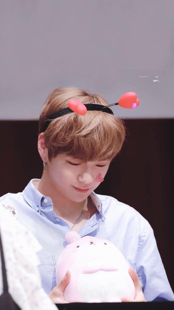 Kang Daniel Wallpapers - Wallpaper Cave