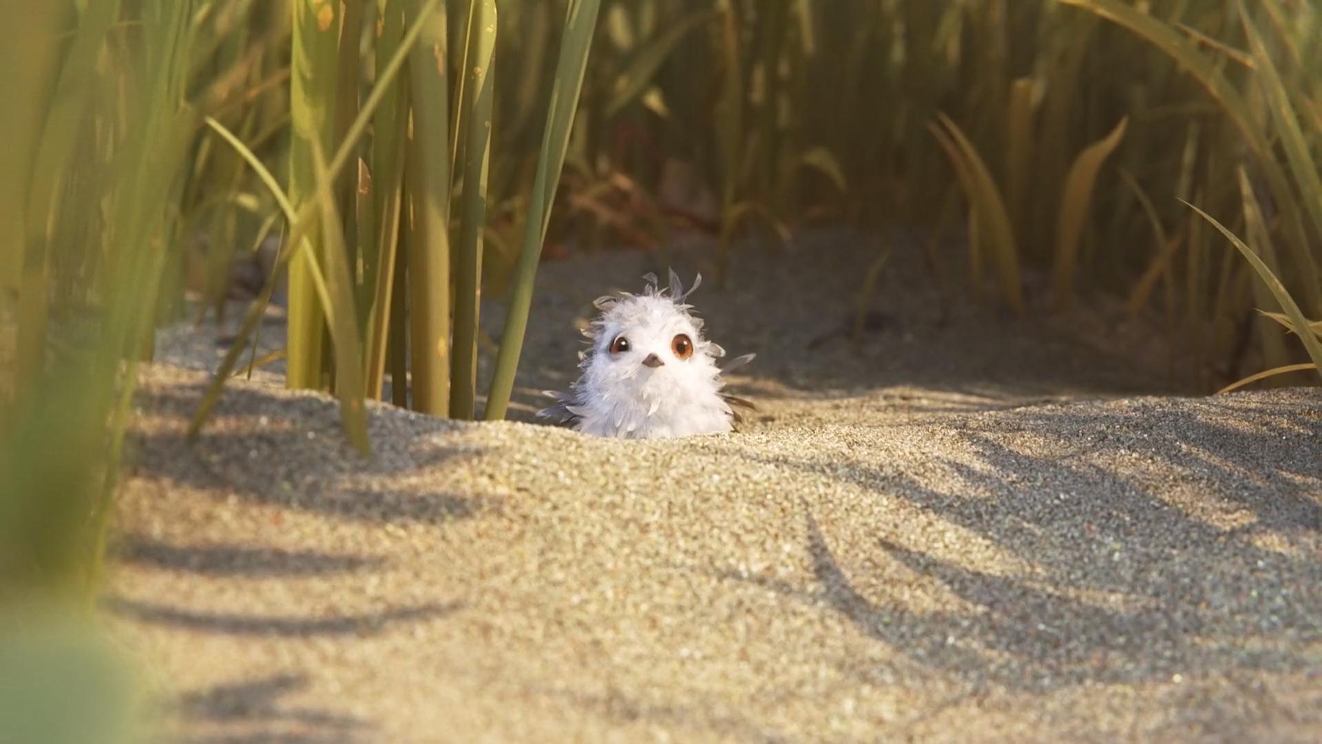 Piper Pixar Wallpapers - Wallpaper Cave