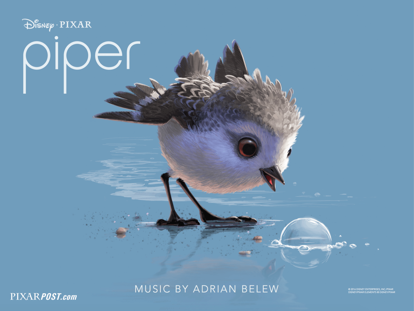 Piper Pixar Wallpapers - Wallpaper Cave