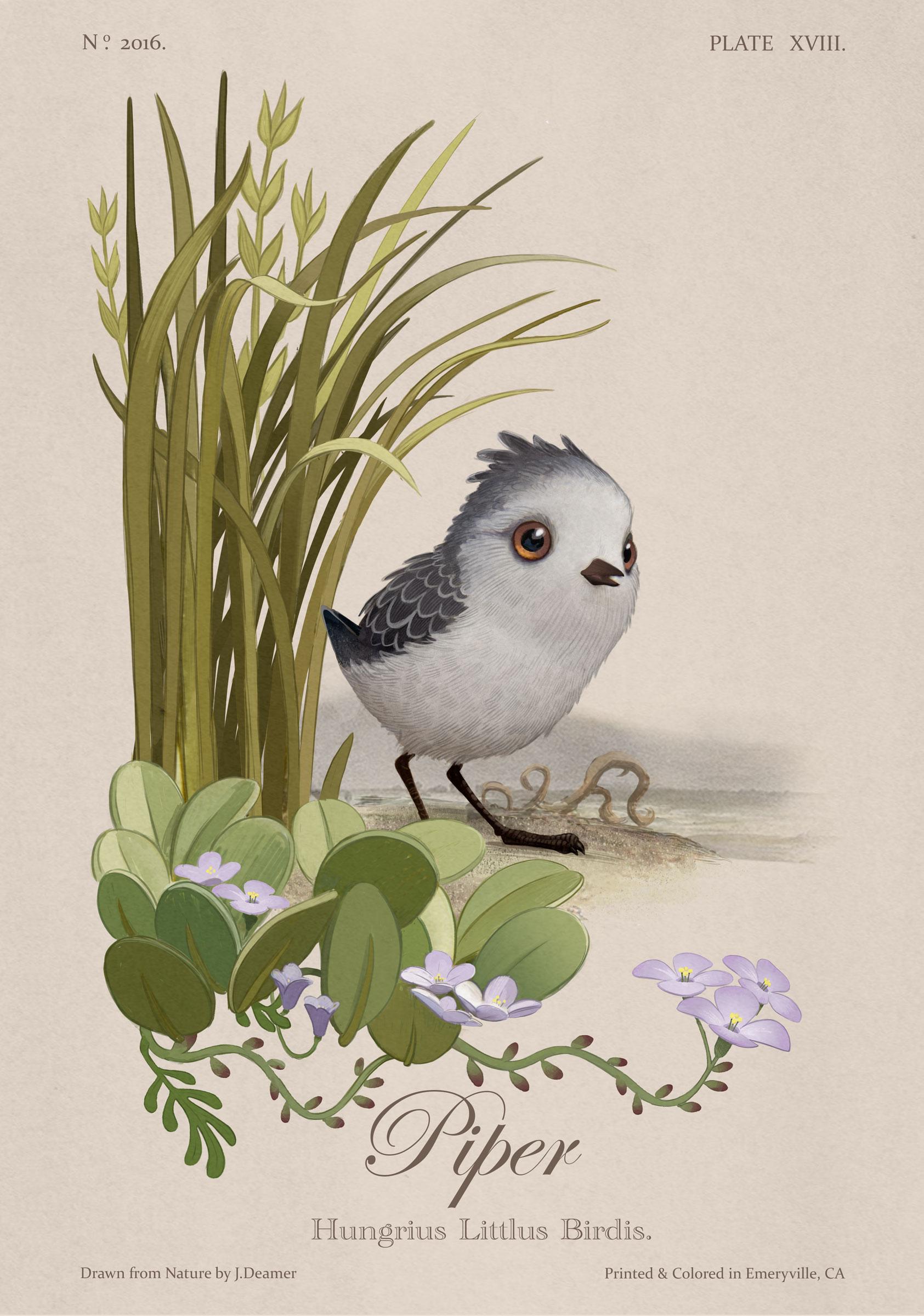 Piper Pixar Wallpapers - Wallpaper Cave