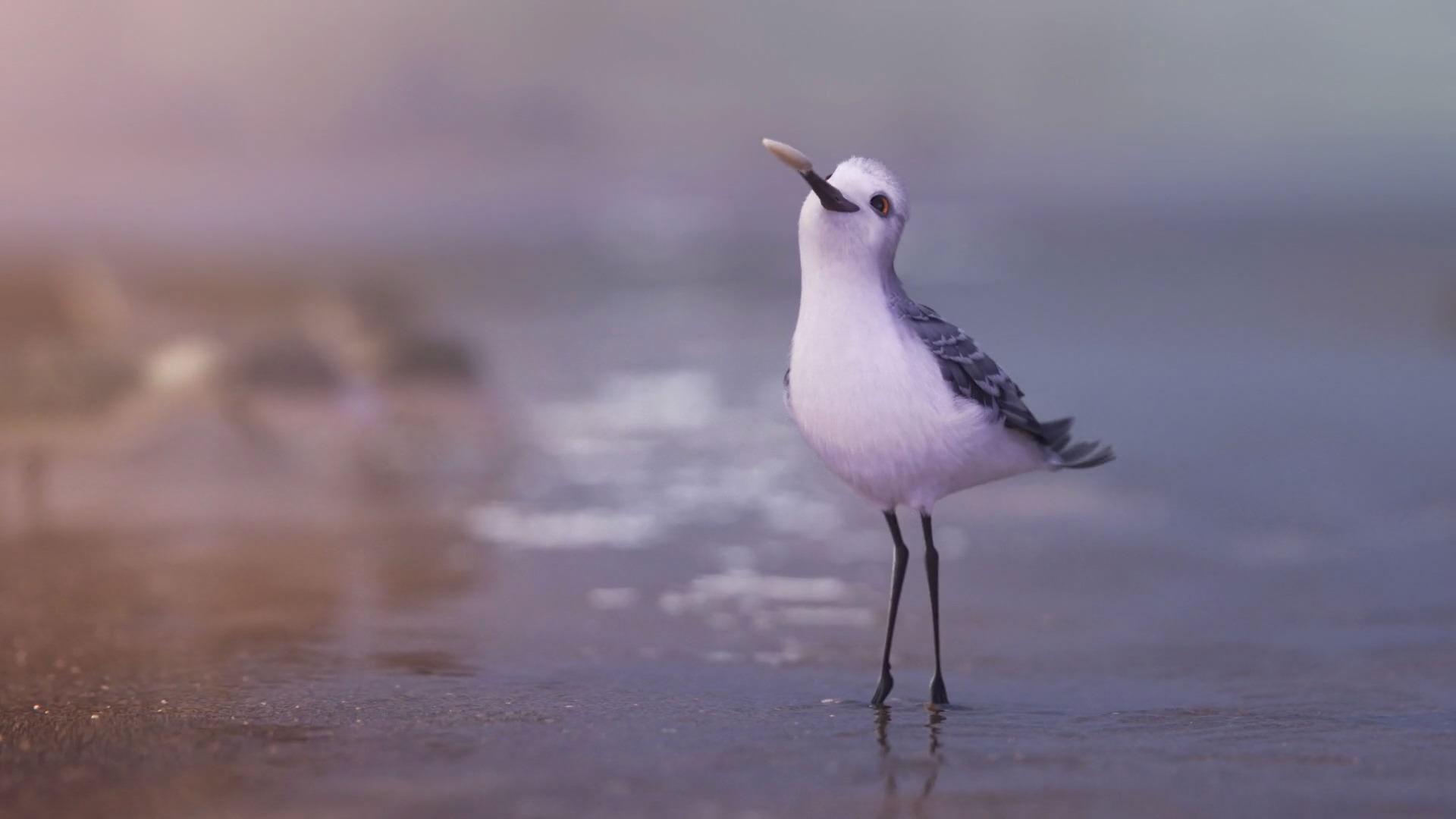 Piper Pixar Wallpapers - Wallpaper Cave