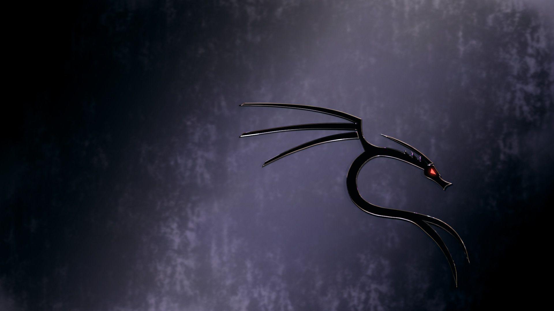 Kali Linux Wallpapers 1920x1080 Wallpaper Cave