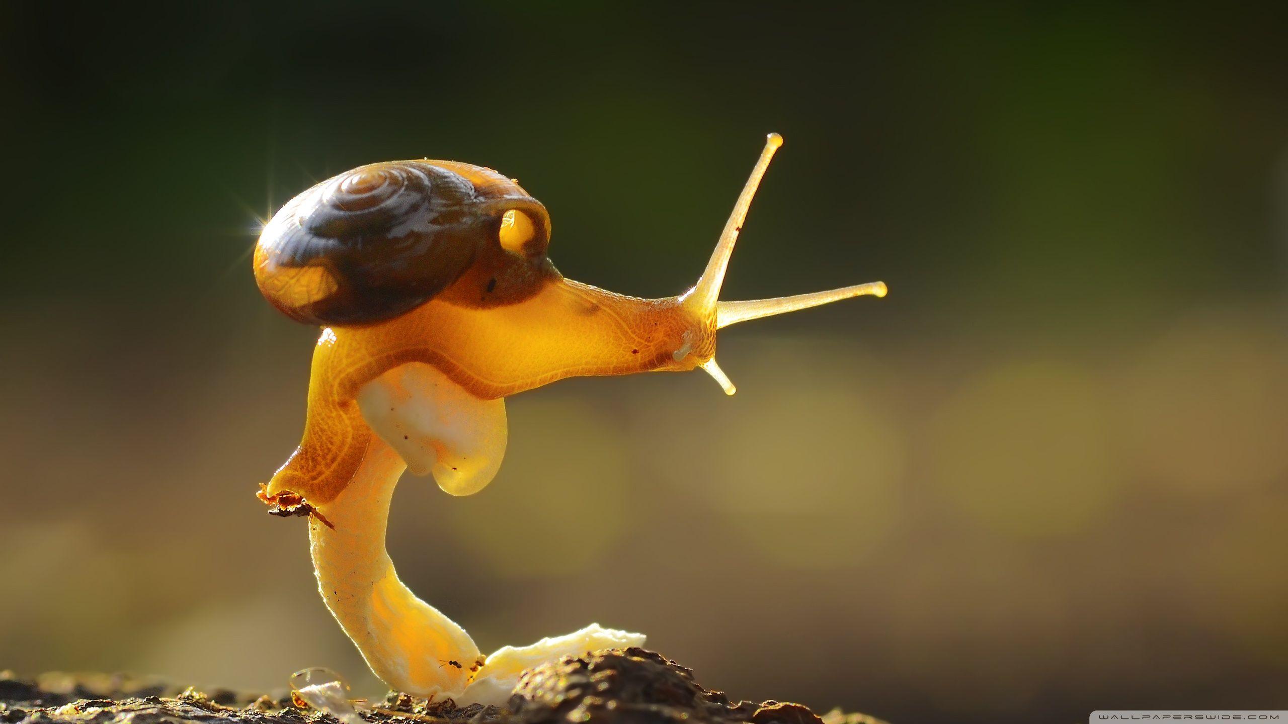 Good.wallpapers - Wallpaper Cave