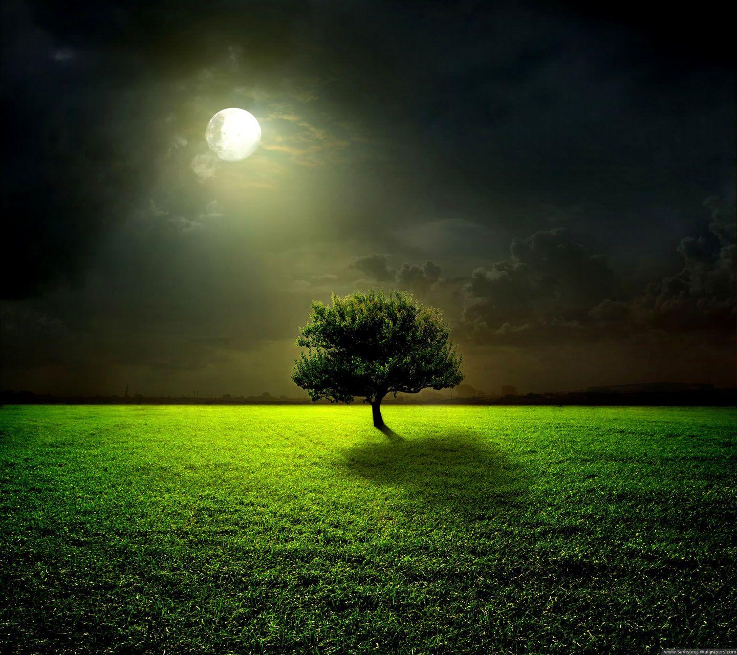 Screen Wallpapers Full HD - Wallpaper Cave