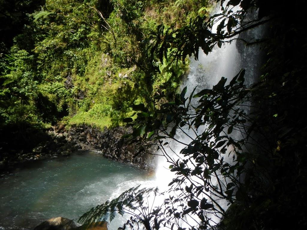 Bouma National Heritage Park Wallpapers - Wallpaper Cave