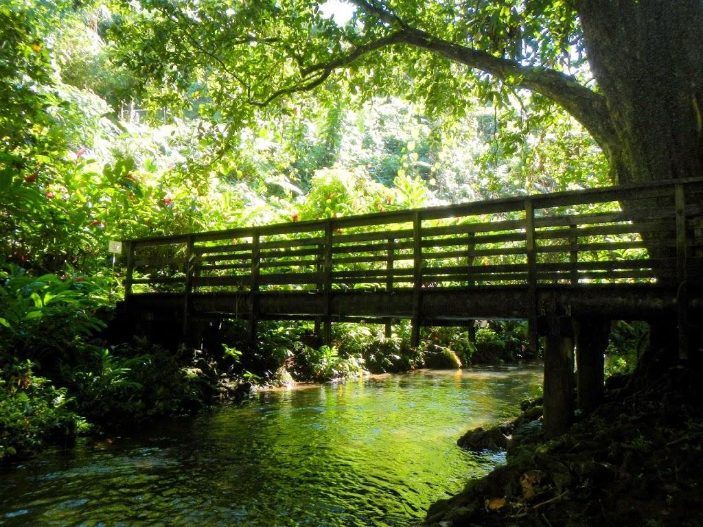 Bouma National Heritage Park Wallpapers - Wallpaper Cave