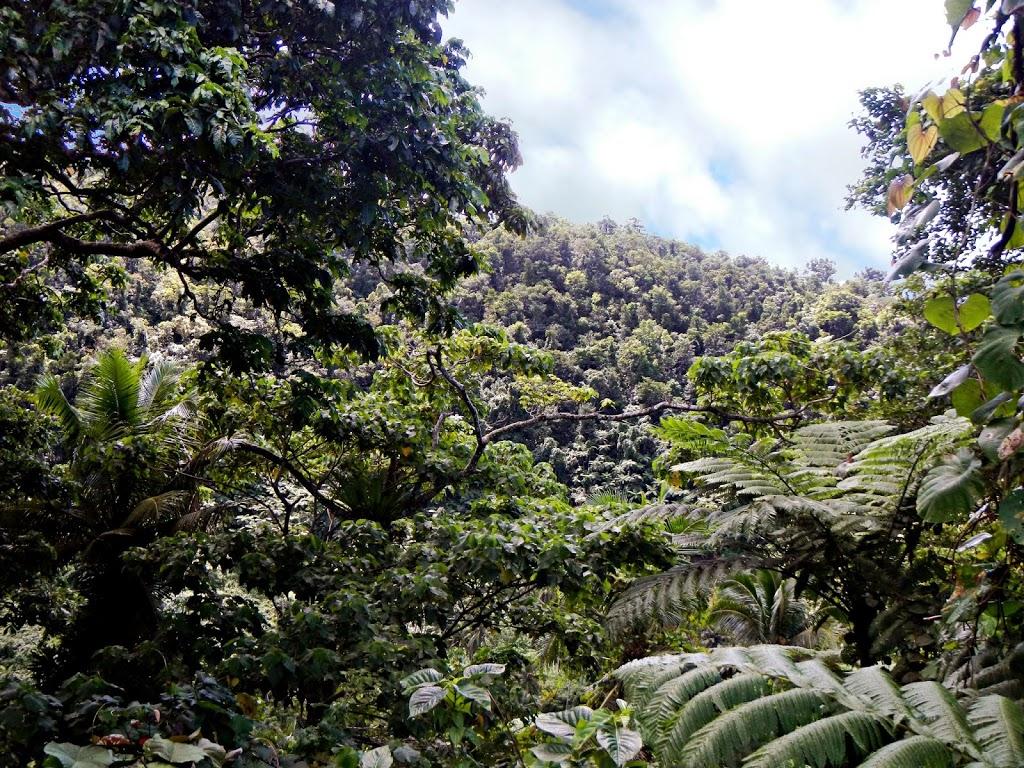 Bouma National Heritage Park Wallpapers - Wallpaper Cave