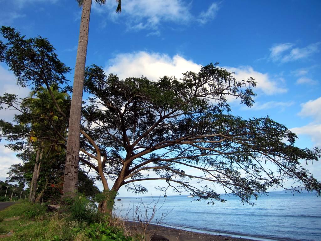 Bouma National Heritage Park Wallpapers - Wallpaper Cave