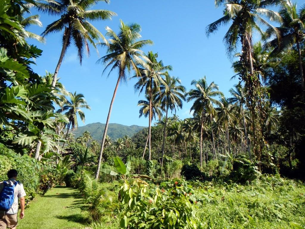 Bouma National Heritage Park Wallpapers - Wallpaper Cave