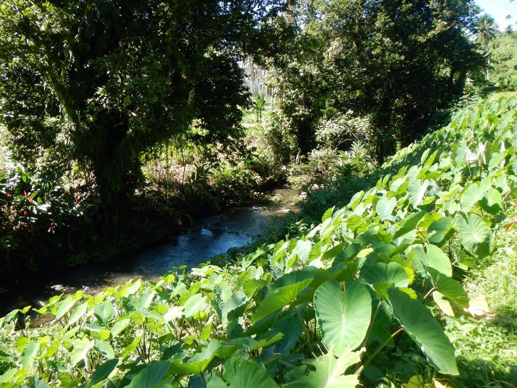 Bouma National Heritage Park Wallpapers - Wallpaper Cave