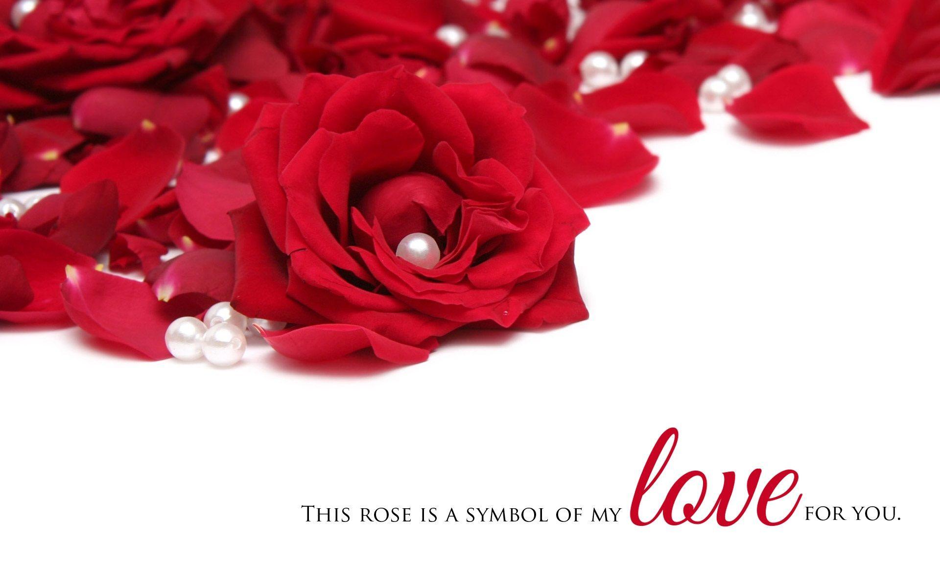 Rose Love Wallpapers - Wallpaper Cave