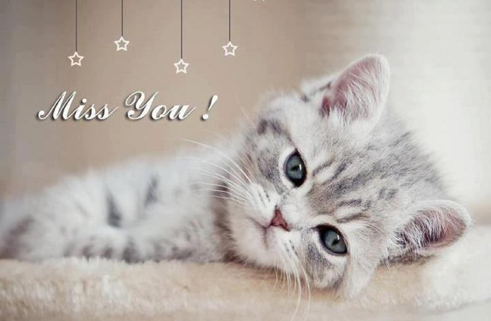 Miss You Wallpapers - Wallpaper Cave