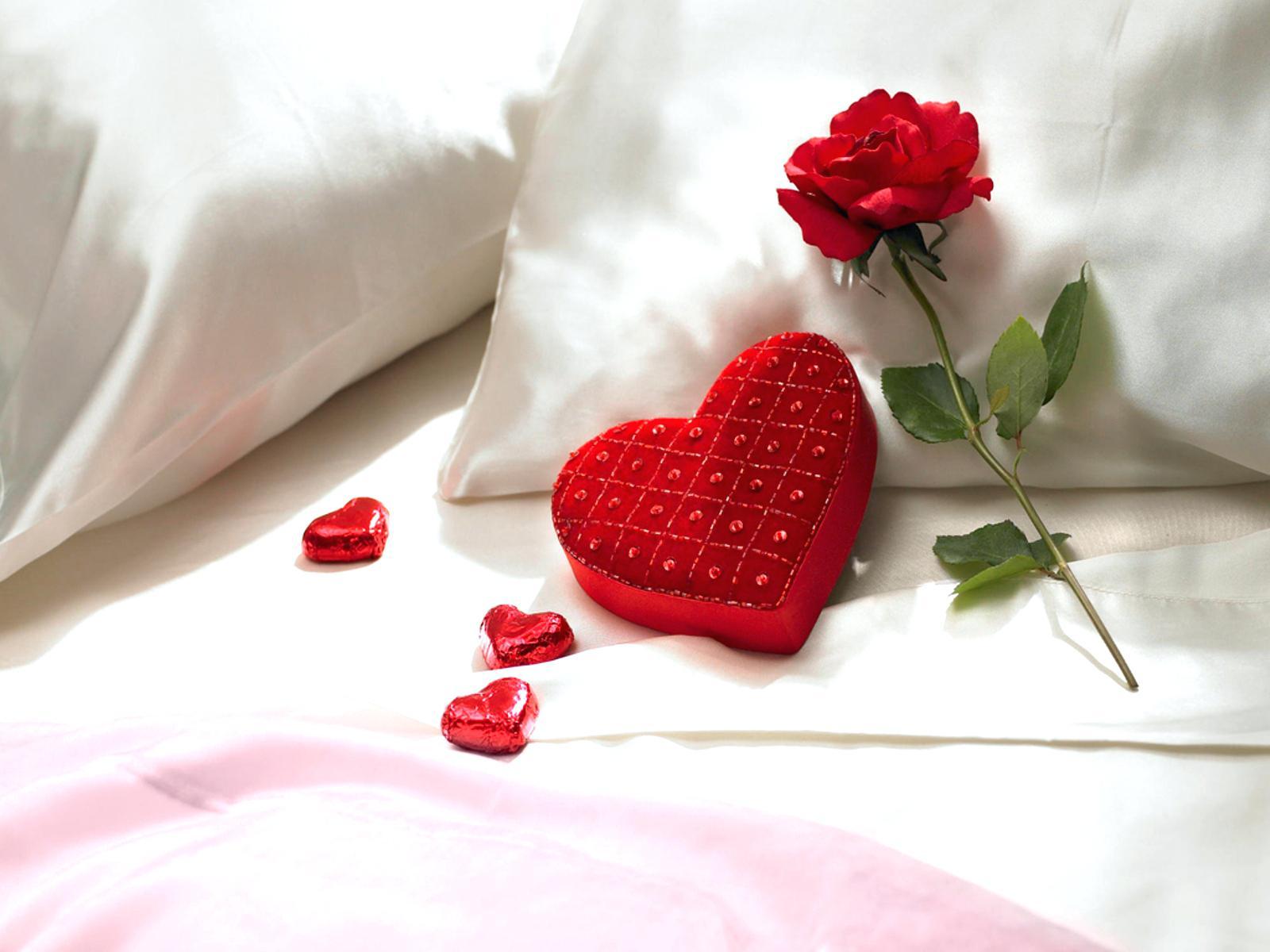 Single Rose Wallpapers - Wallpaper Cave