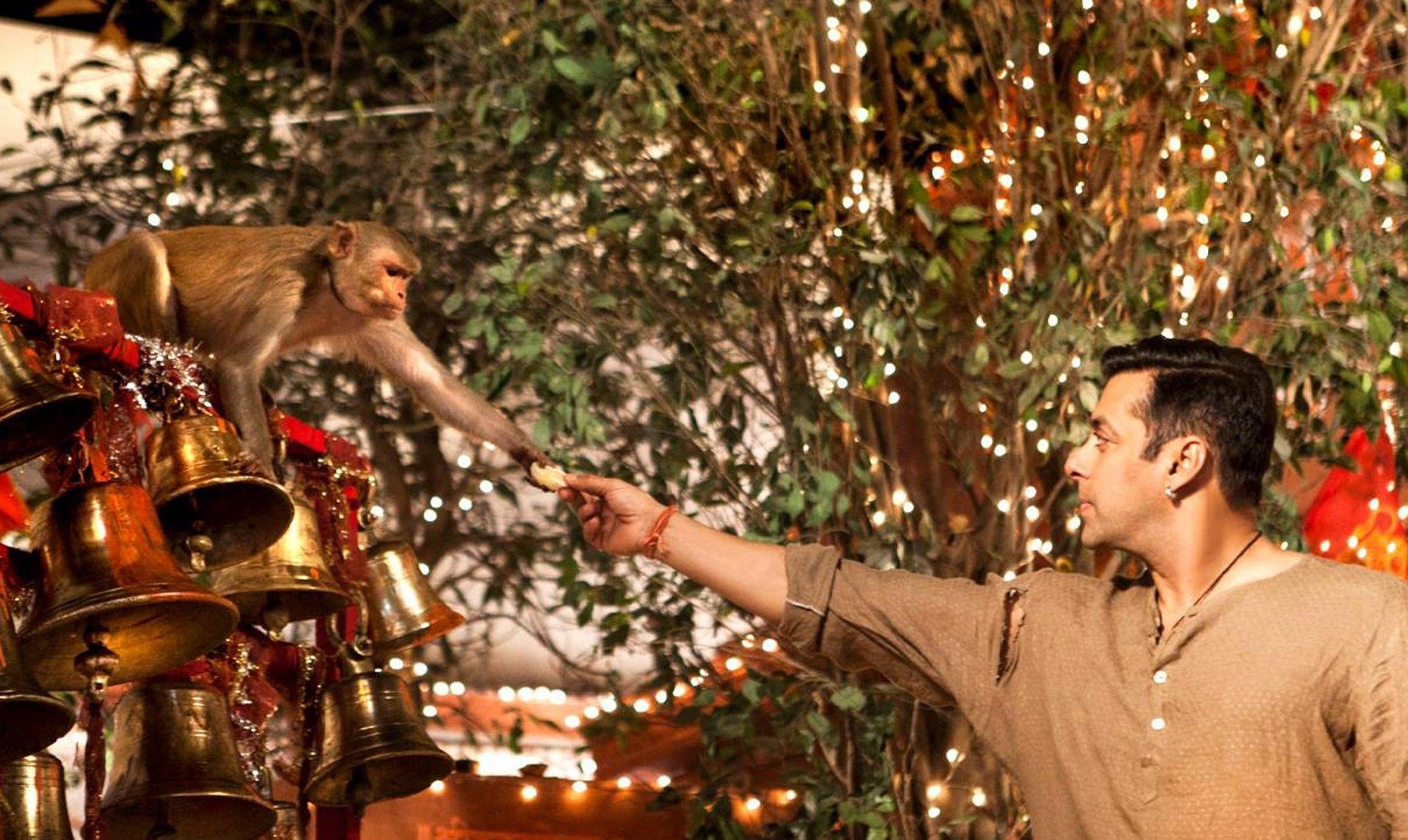 Sher Khan Salman Khan Movie Wallpapers - Wallpaper Cave