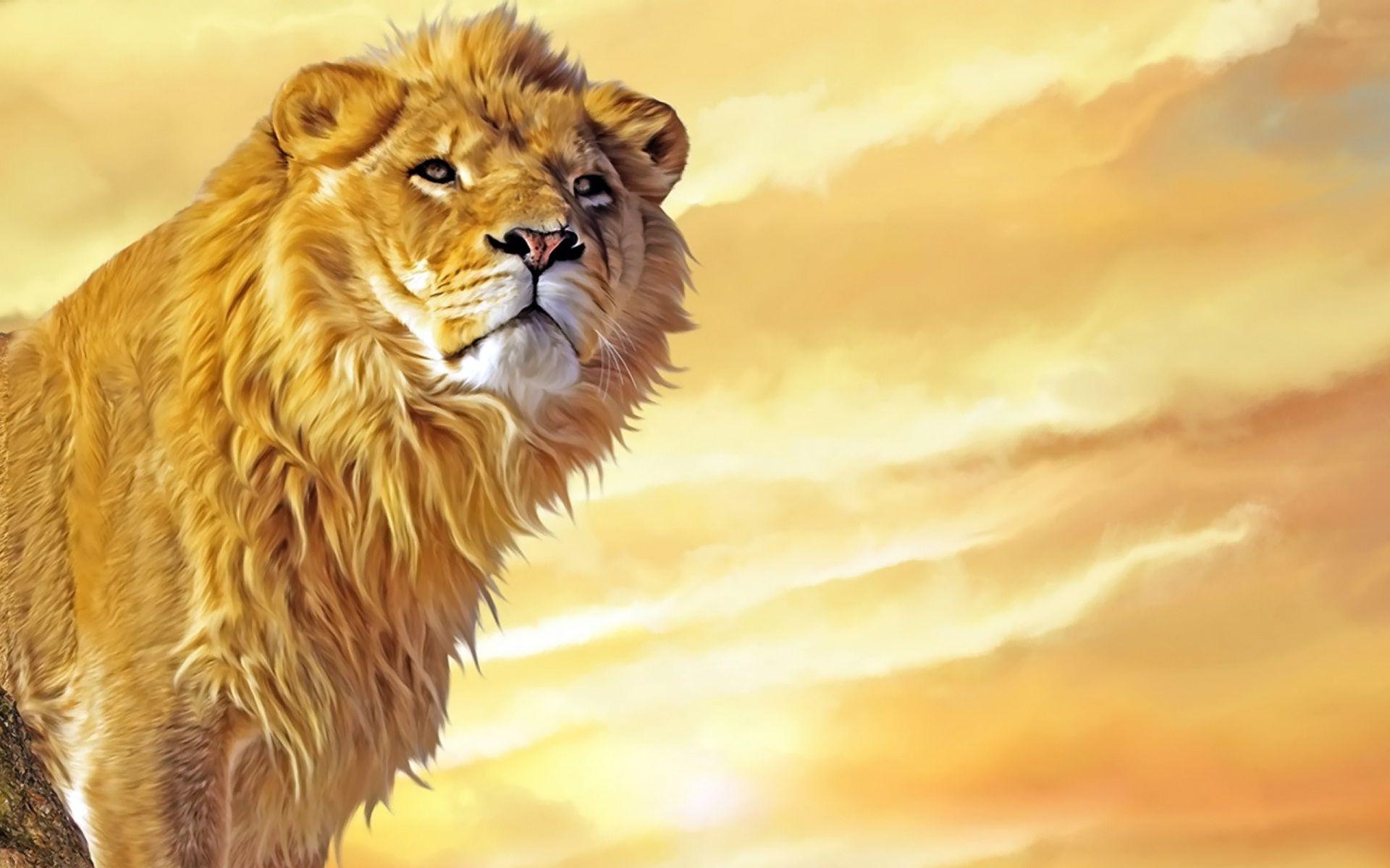 Lion Backgrounds - Wallpaper Cave