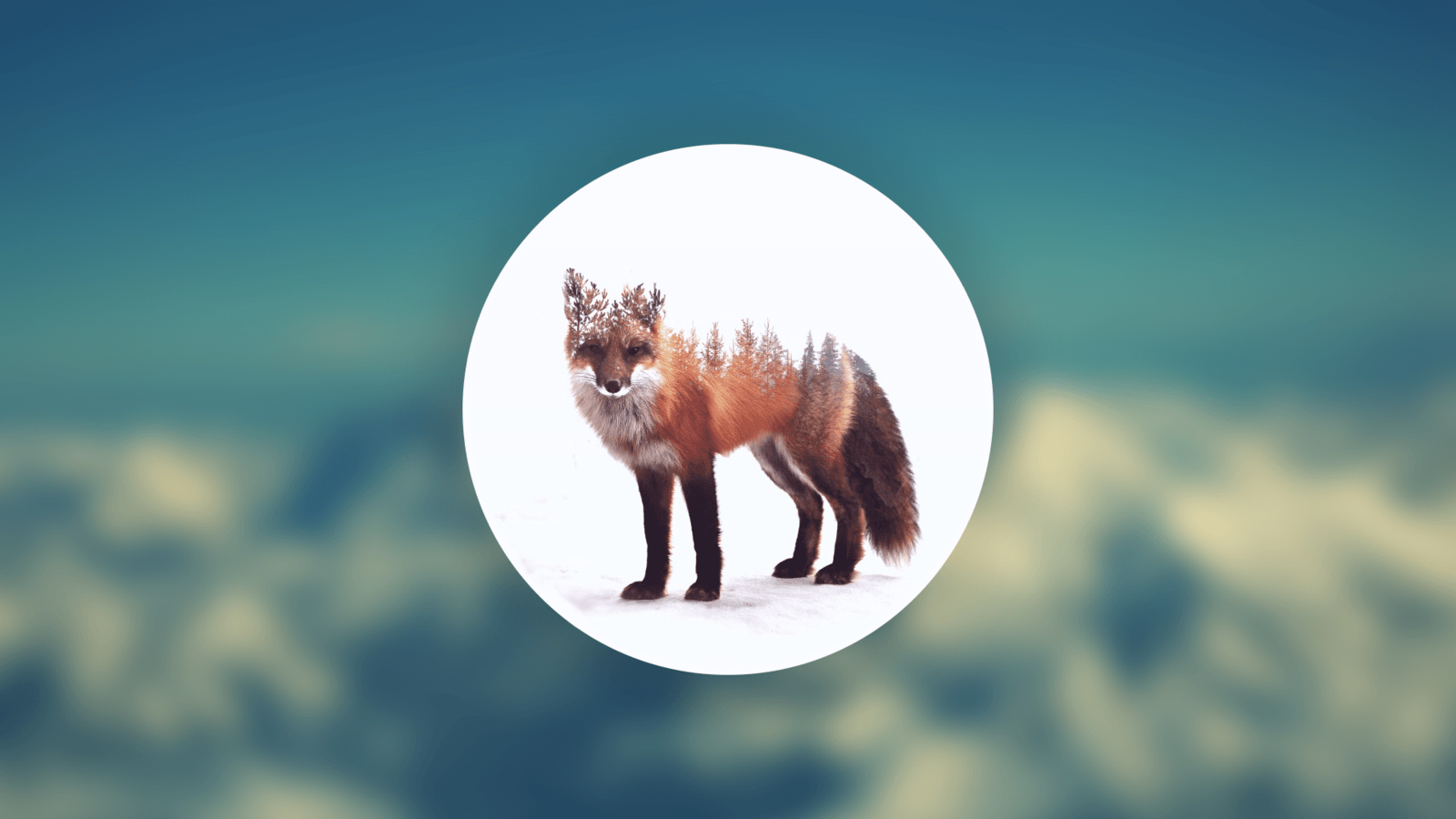 Fox Wallpapers - Wallpaper Cave