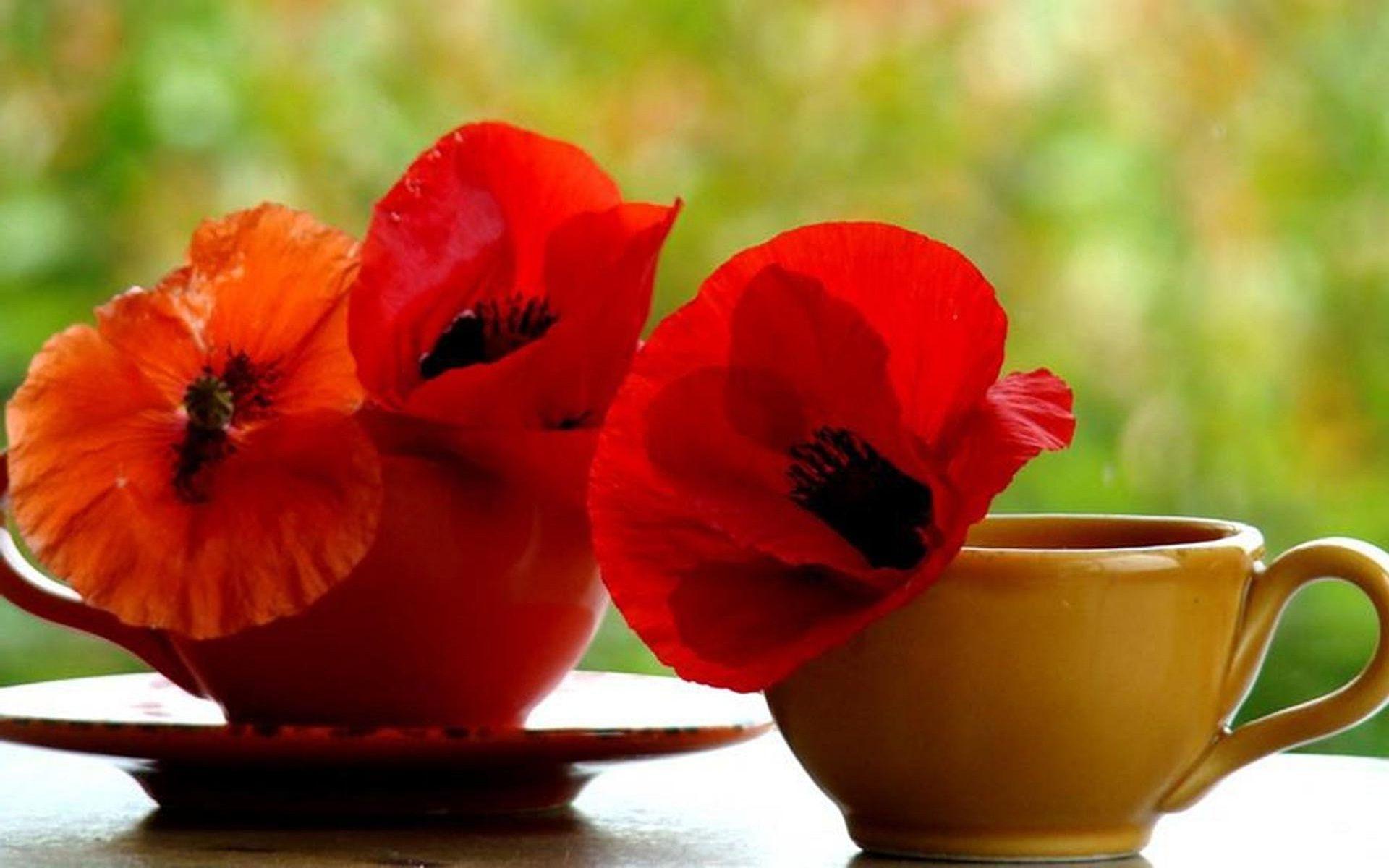 Latest Good Morning Wallpapers - Wallpaper Cave