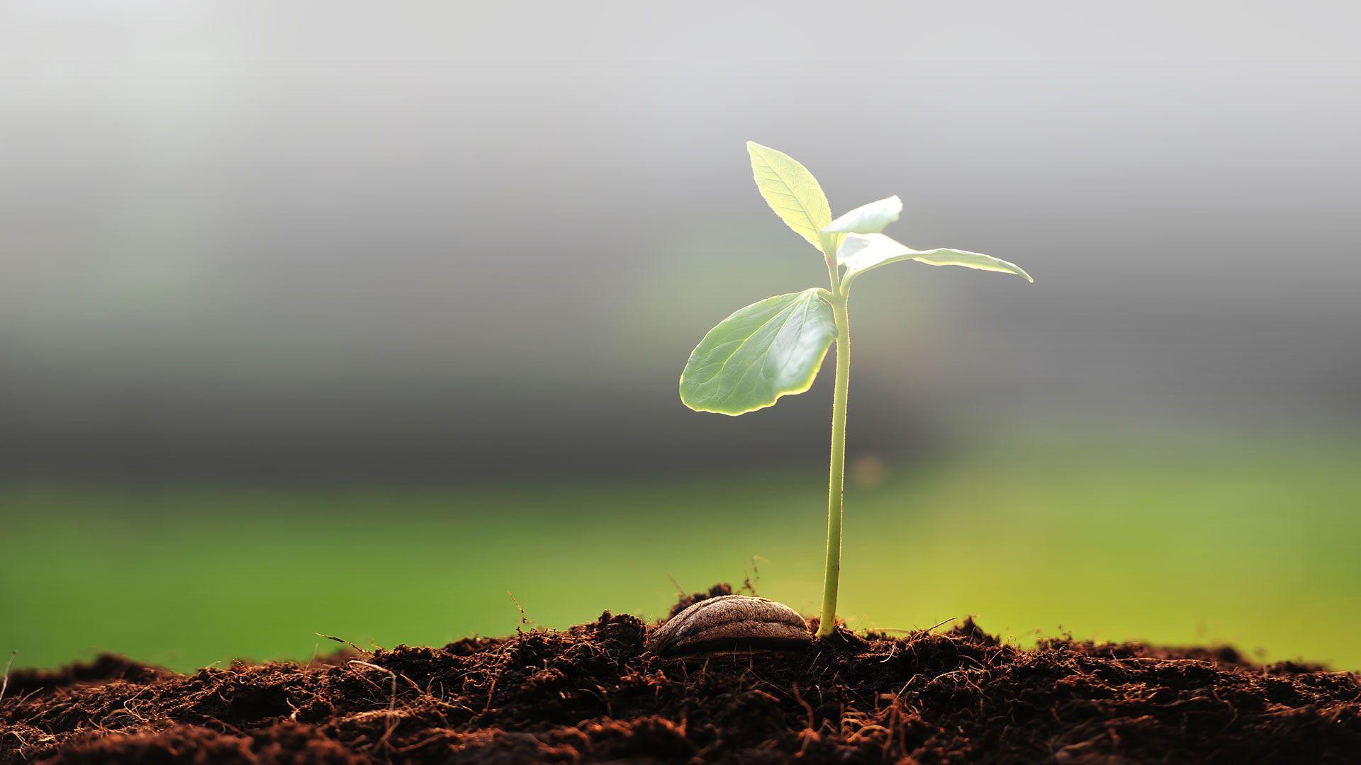 Biotechnology Wallpapers - Wallpaper Cave