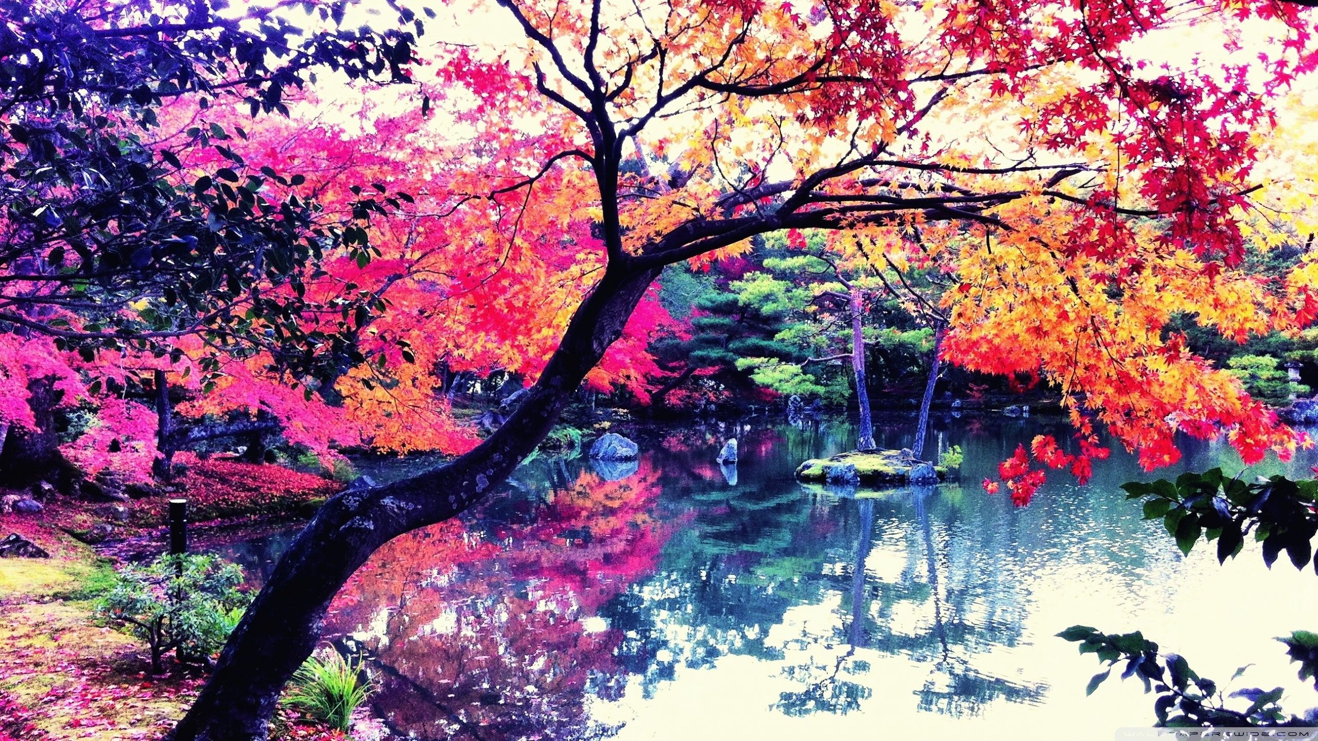 Japanese Summer Wallpapers - Wallpaper Cave